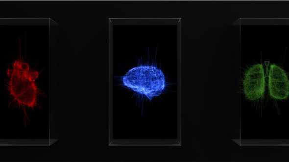Interview With Pascal Haudressy Aesthetic Algorithms Sedition 