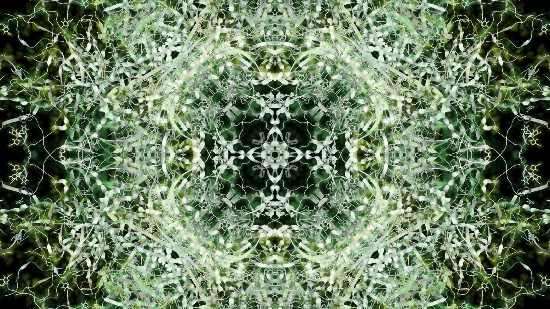 Interview with Laura Splan | Sedition