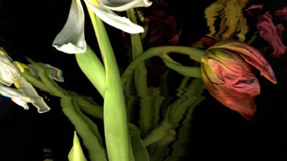 Matthew Biederman Releases New Artwork For Trump's Inauguration | Sedition