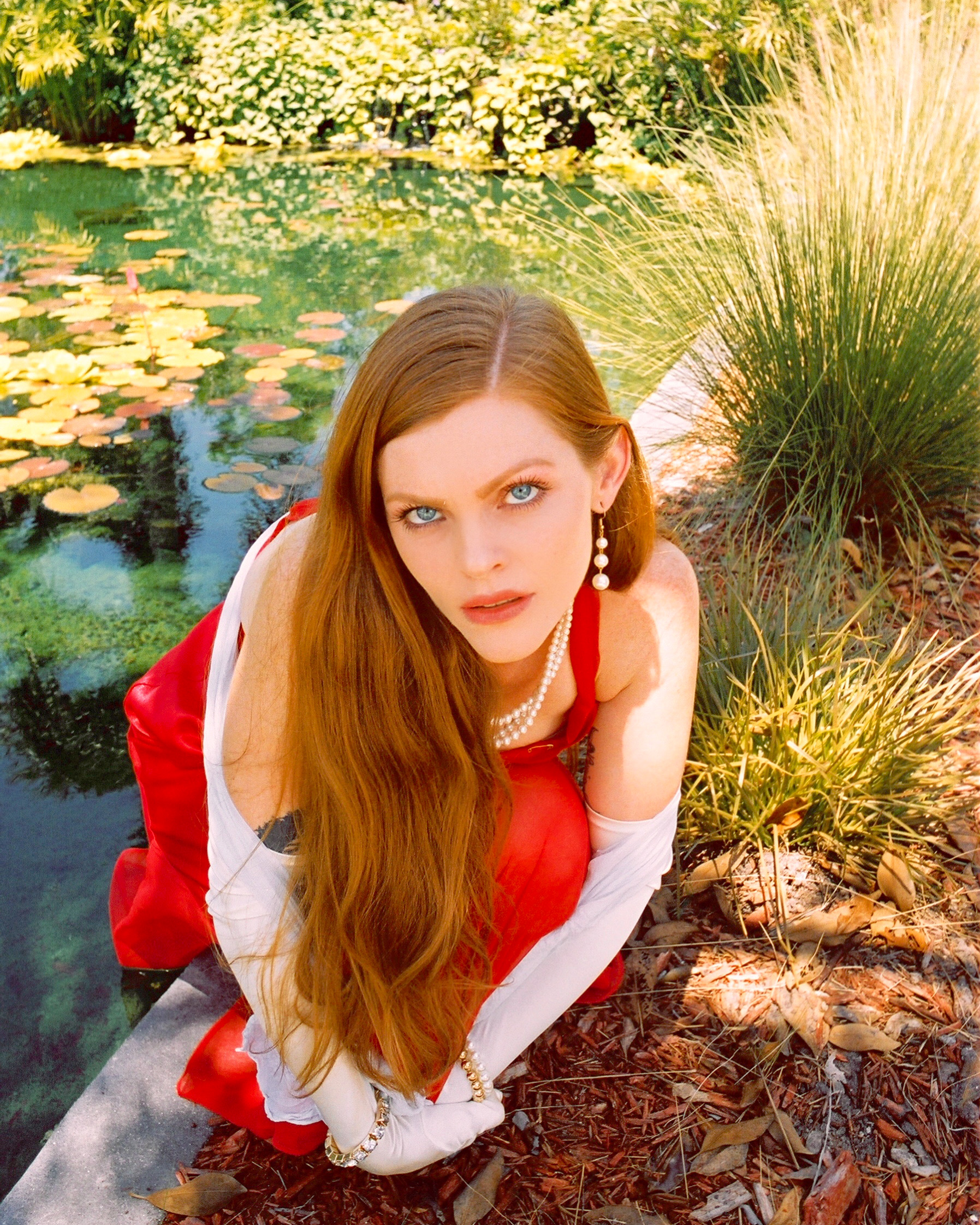 Alexandria Curcie | Sedition